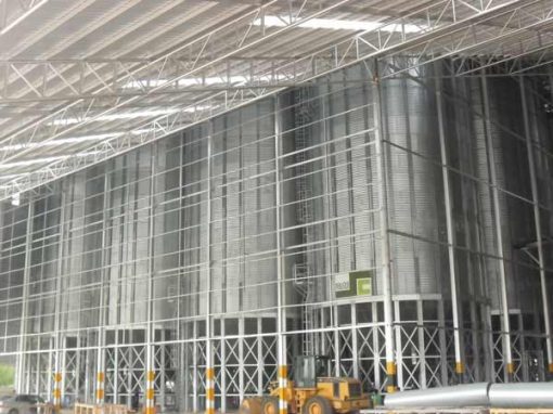 Storage Project for Paddy Rice in Thailand - Gandaria - Silos Spain
